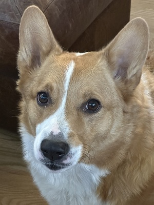 Boulder Estate Planning Lawyer | Boulder County Probate Attorney ...